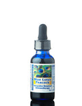 Tibetan Infusion Blue herbal supplement