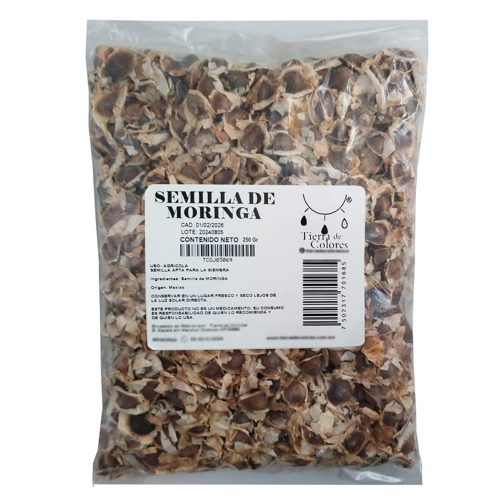 Tierra de Colores Moringa seed benefits