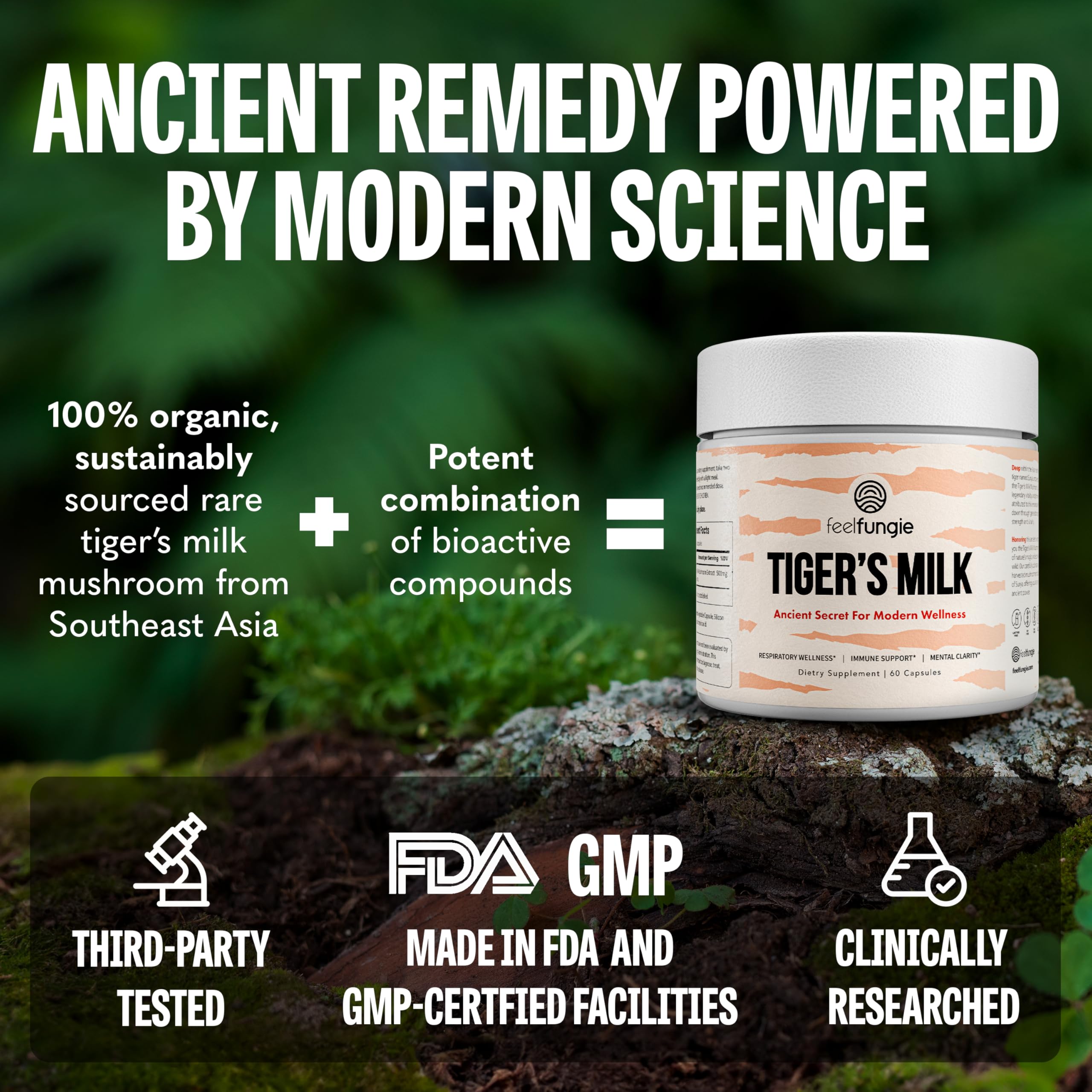 Tiger Milk Mushroom for overall wellness