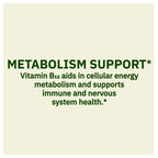Timed-release B12 for all-day energy