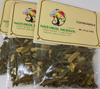 Tlachichinole herbal tea benefits