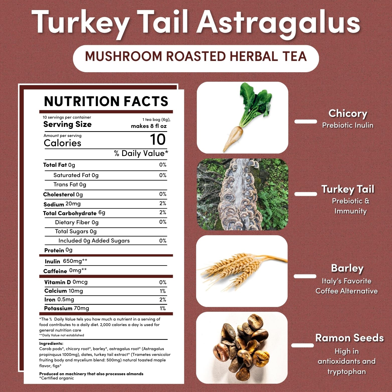 Toasted maple Turkey Tail tea bags