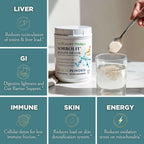 TODICAMP herbal infusion for detox
