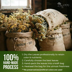 TOG999 yarrow tea bags for immune support