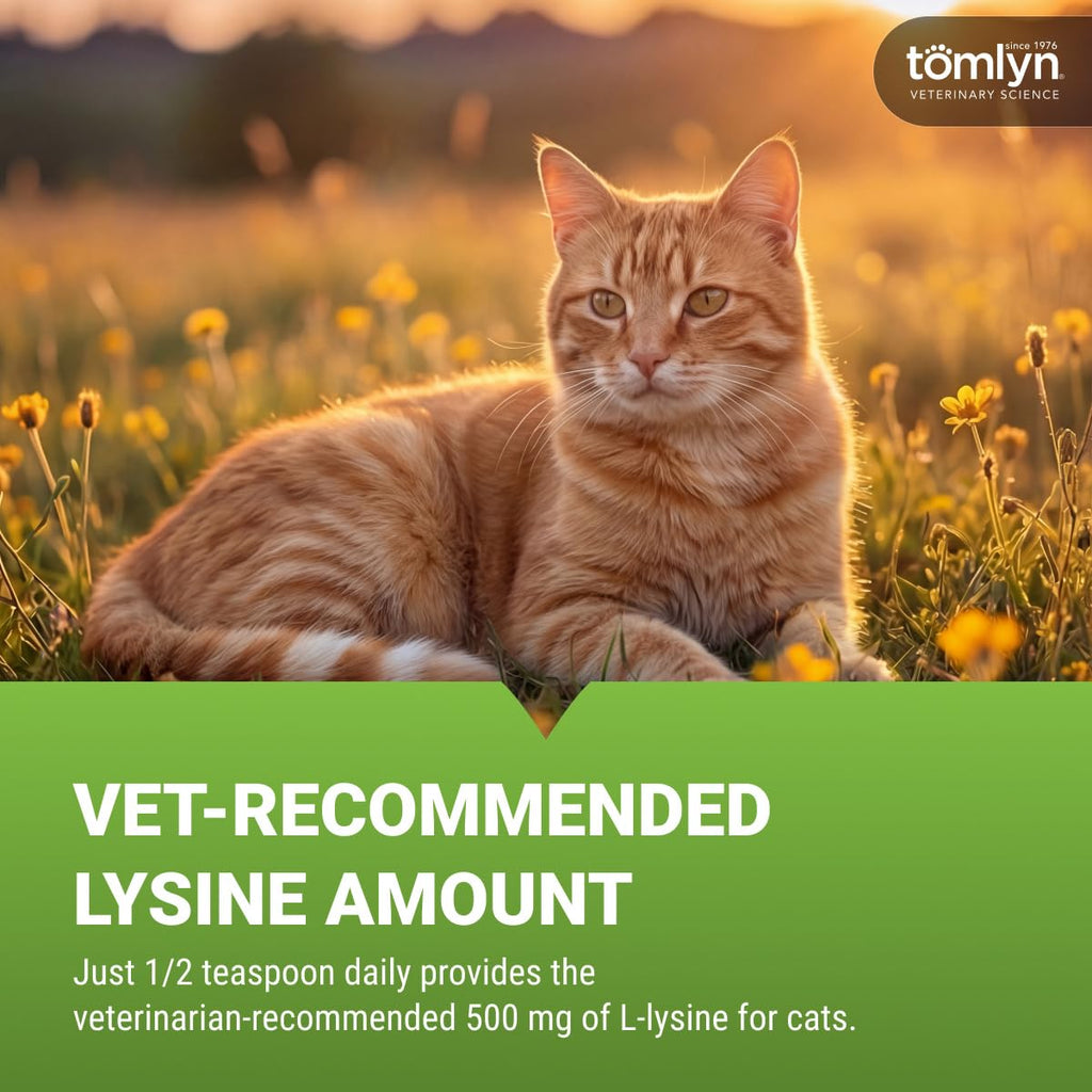 Tomlyn l-lysine for cold sores