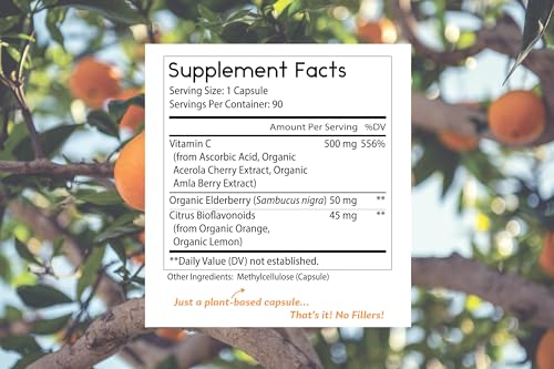Toms Remedies elderberry health benefits