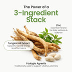 Tongkat Ali capsules support hormonal balance