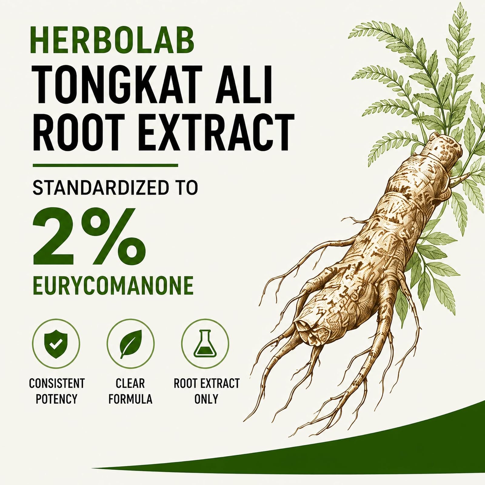 Tongkat Ali elderberry for energy boost