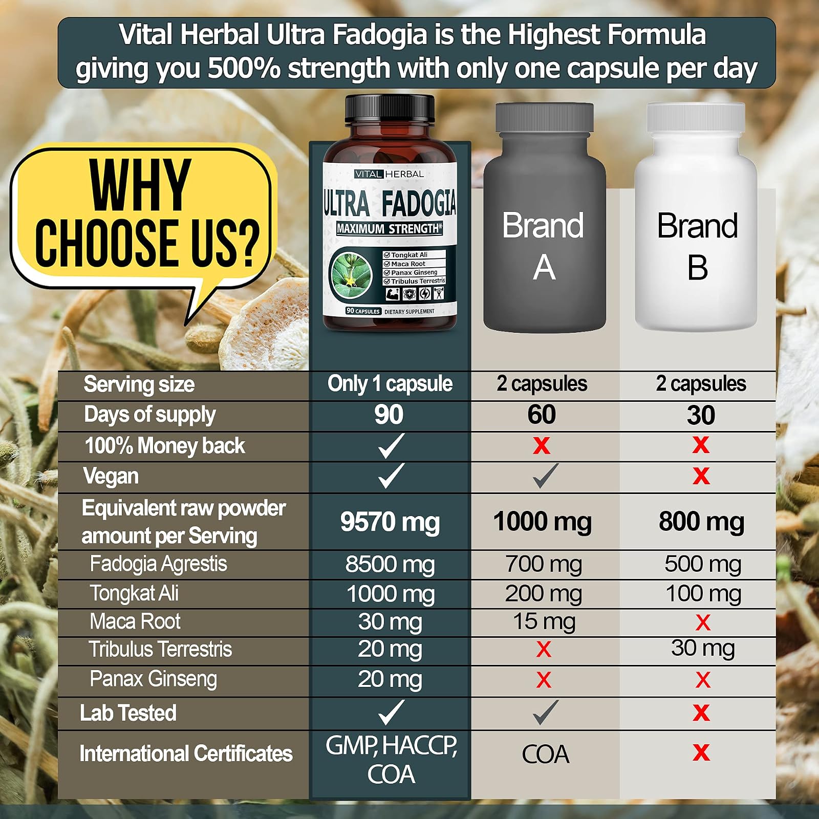 Tongkat Ali for enhanced vitality