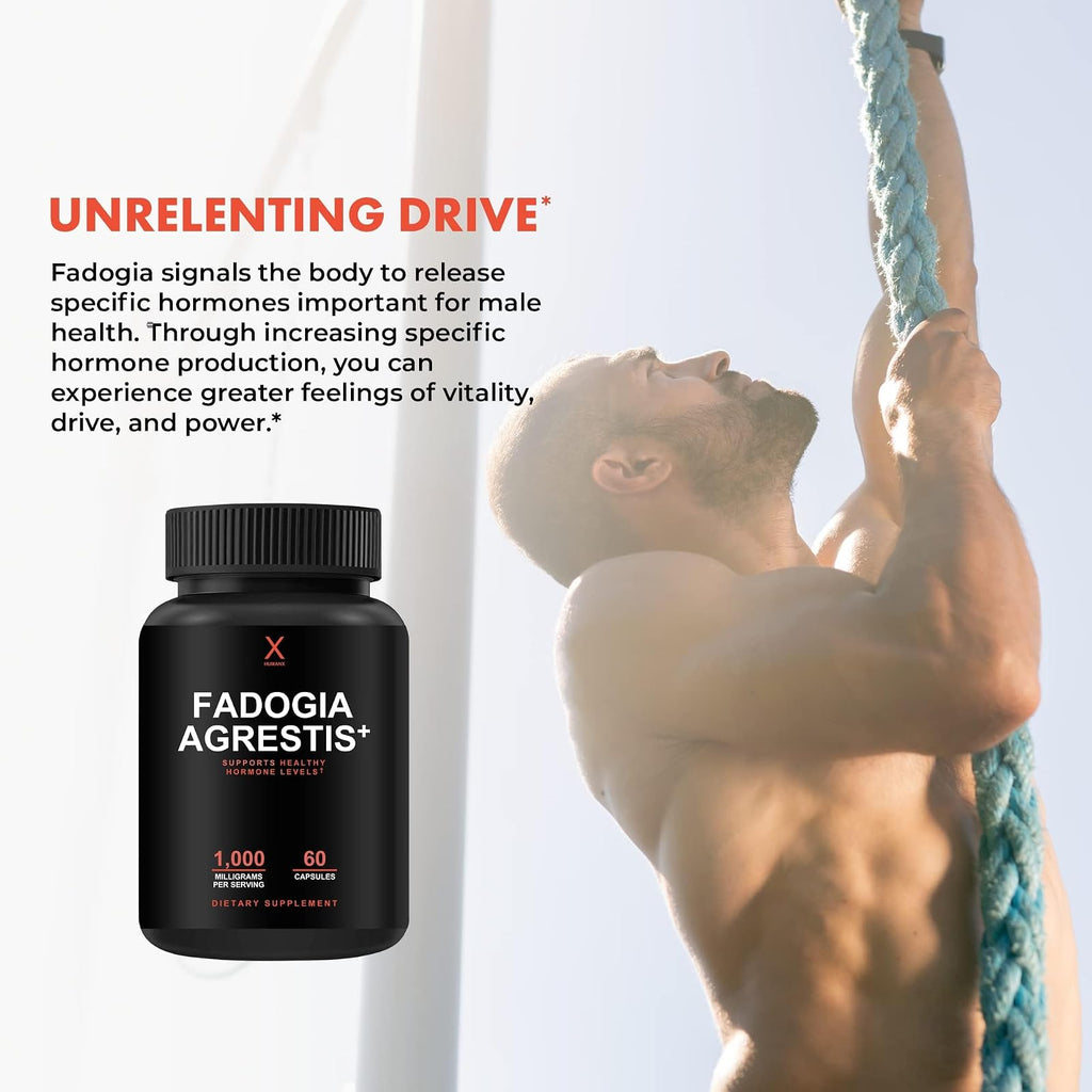 Tongkat Ali for muscle growth