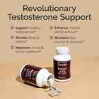Tongkat Ali multivitamins for energy boost