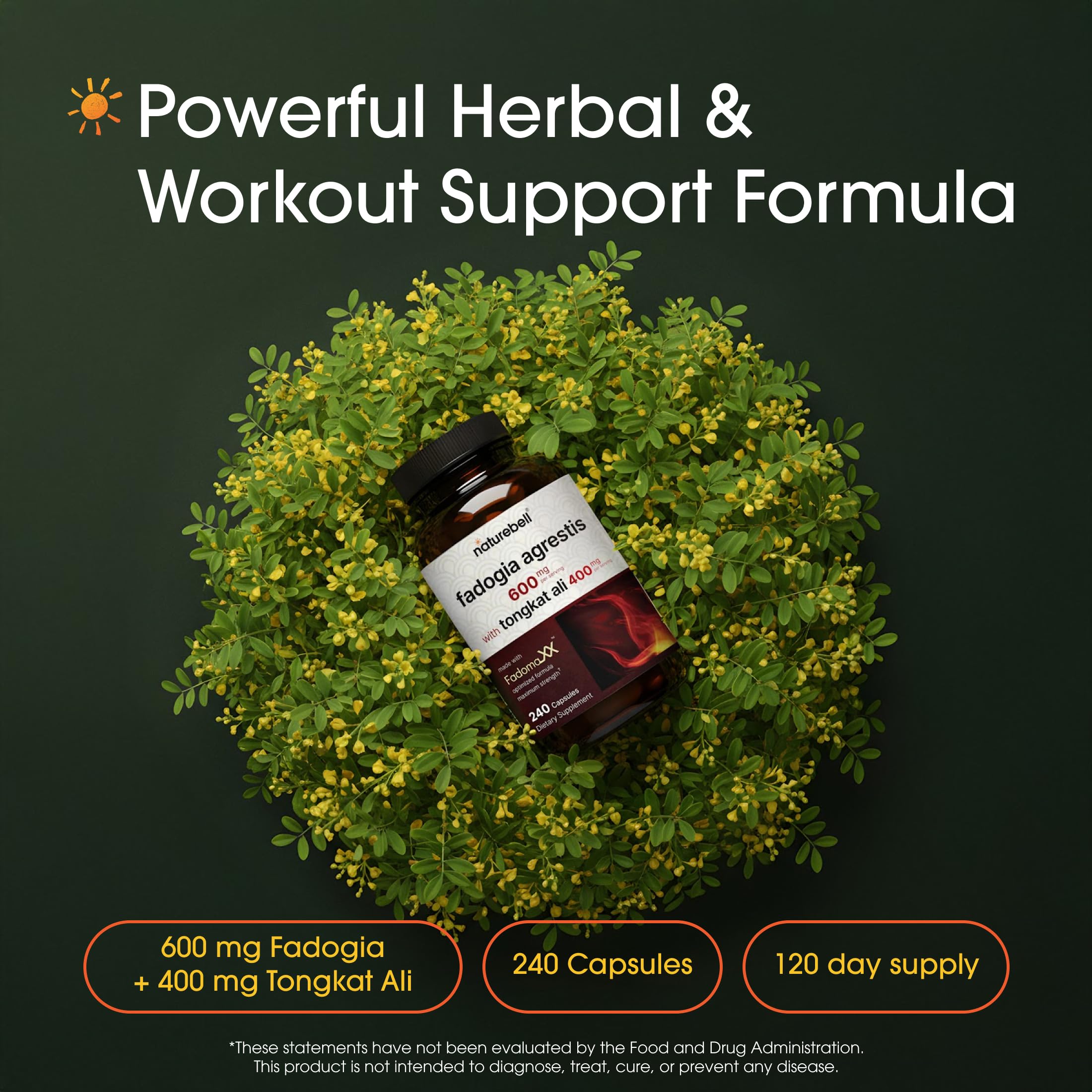 Tongkat Ali vitality booster
