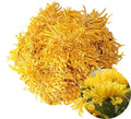 TooGet dried chrysanthemum flower tea