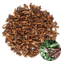 TooGet organic dandelion root tea