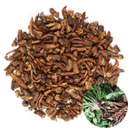 TooGet organic dandelion root tea
