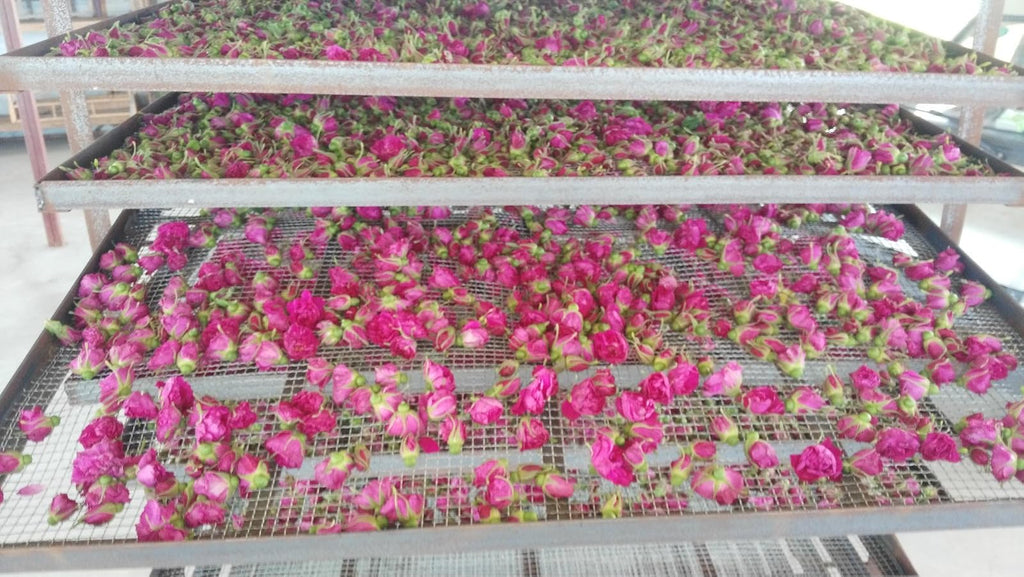 TooGet red rose buds for relaxation