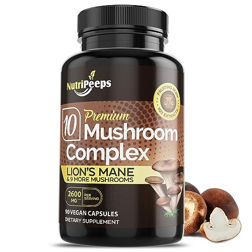 top mushroom blend for brain health