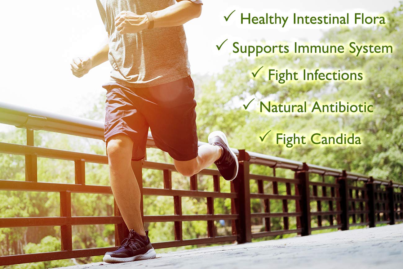 top quality oregano oil supplement