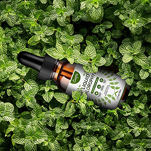 top-rated chlorophyll brand options
