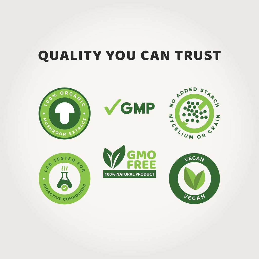 top rated ginkgo biloba supplement in Canada