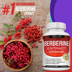 Toplux berberine for digestive health