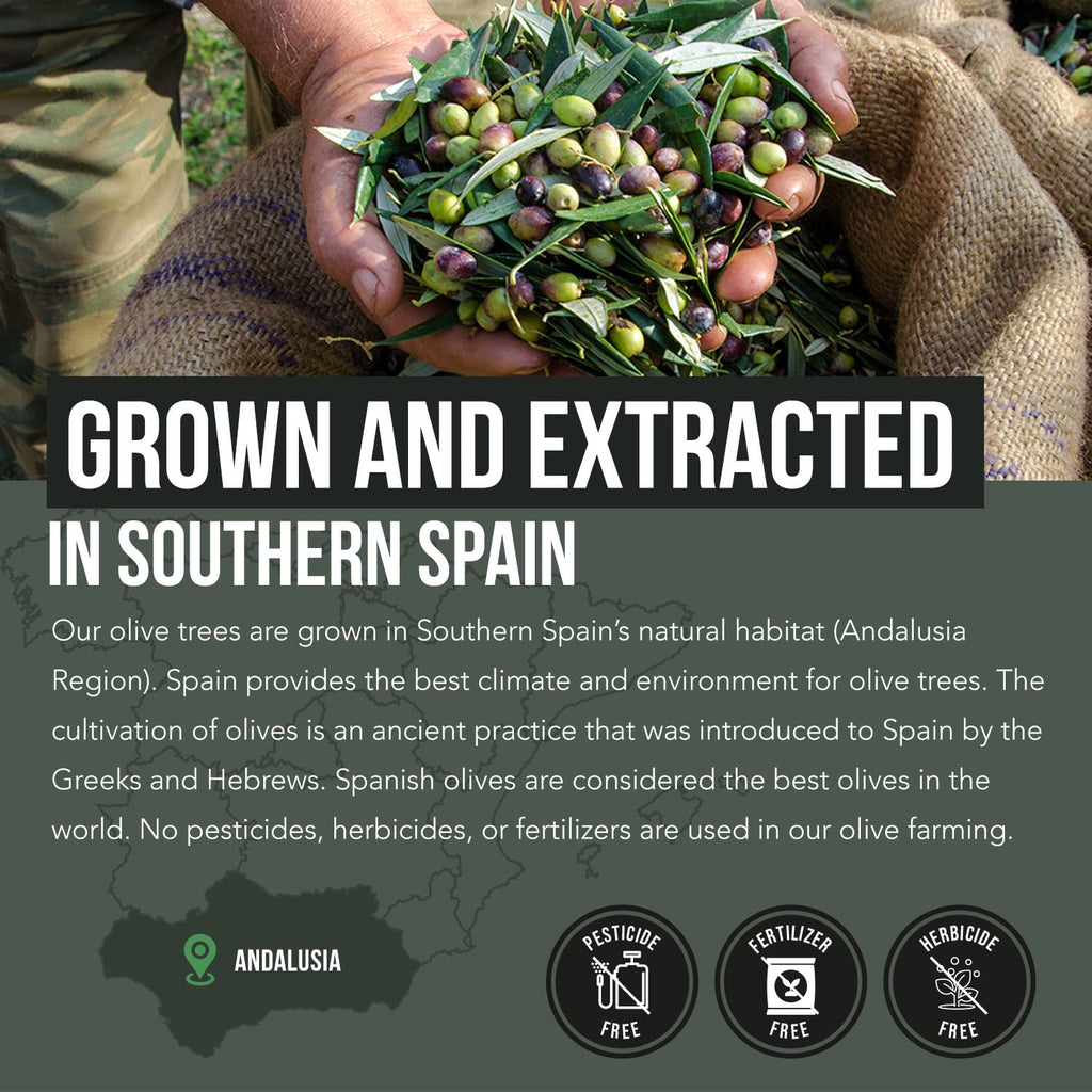 Total Olive antioxidant-rich capsules