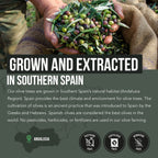 Total Olive antioxidant-rich capsules