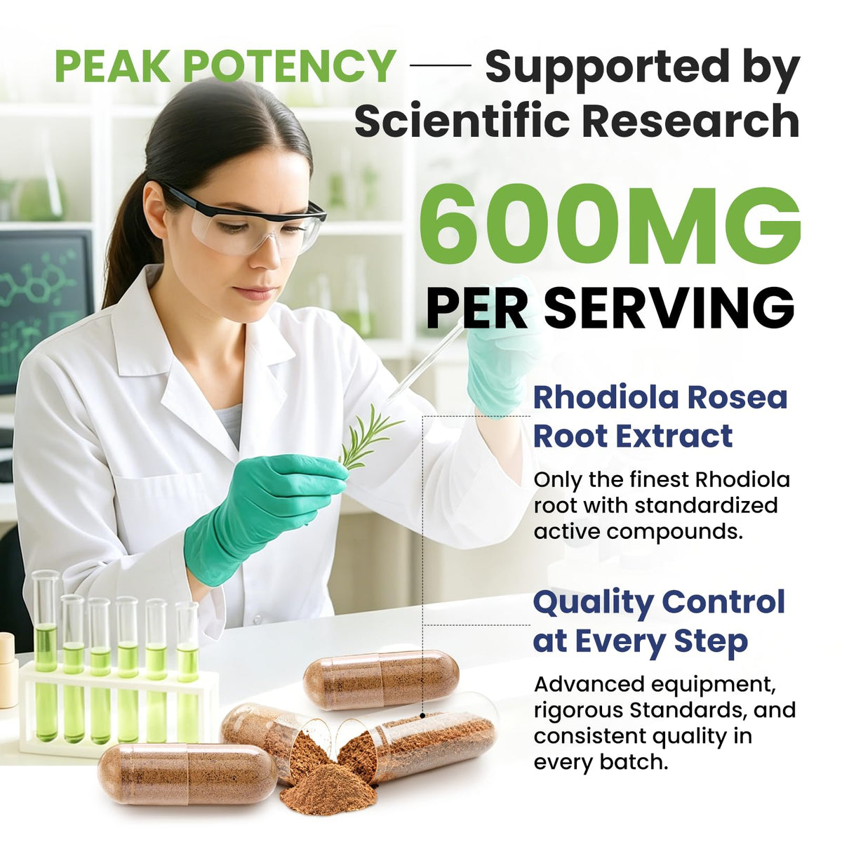 Totaria 600 mg Rhodiola for energy boost