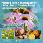 Totaria echinacea for overall wellness