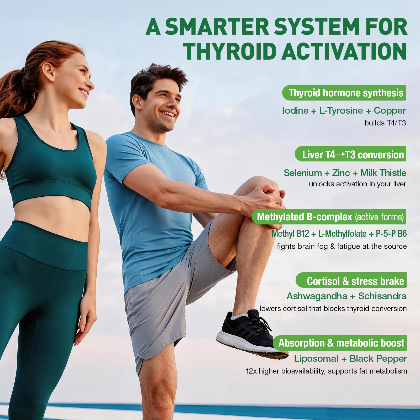 Totaria thyroid extract for energy