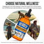 trace minerals electrolytes for energy boost