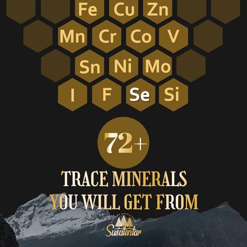 trace minerals electrolytes for sports recovery