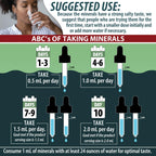Trace Minerals for balanced nutrition