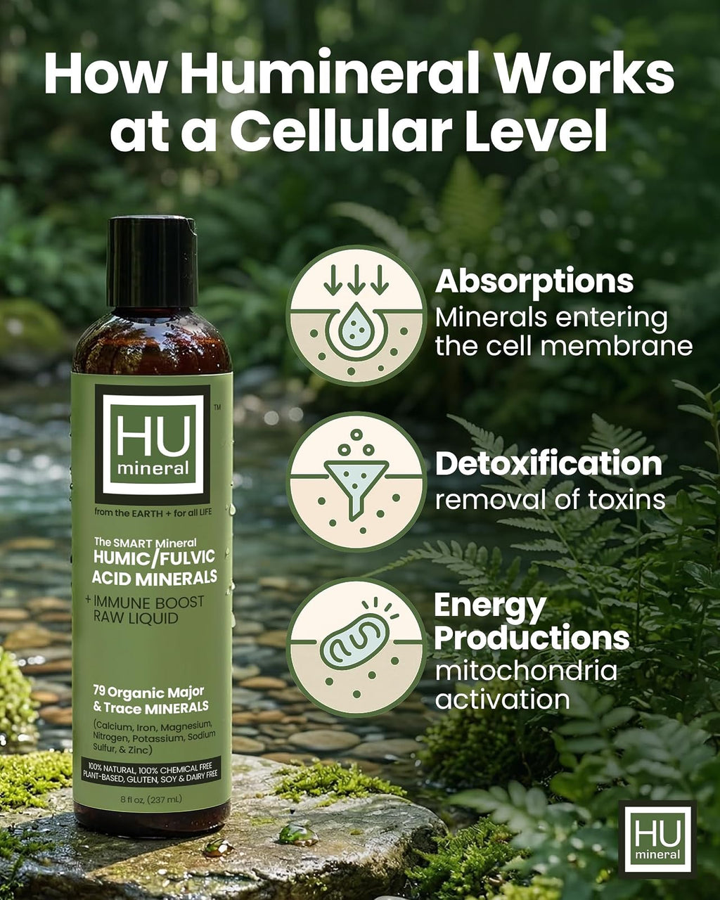 trace minerals for better health