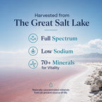 Trace minerals for better nutrient absorption