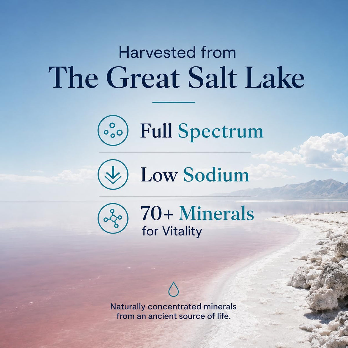 Trace minerals for better nutrient absorption