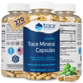 trace minerals for bone health
