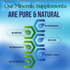 trace minerals for daily wellness
