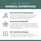 trace minerals for daily wellness
