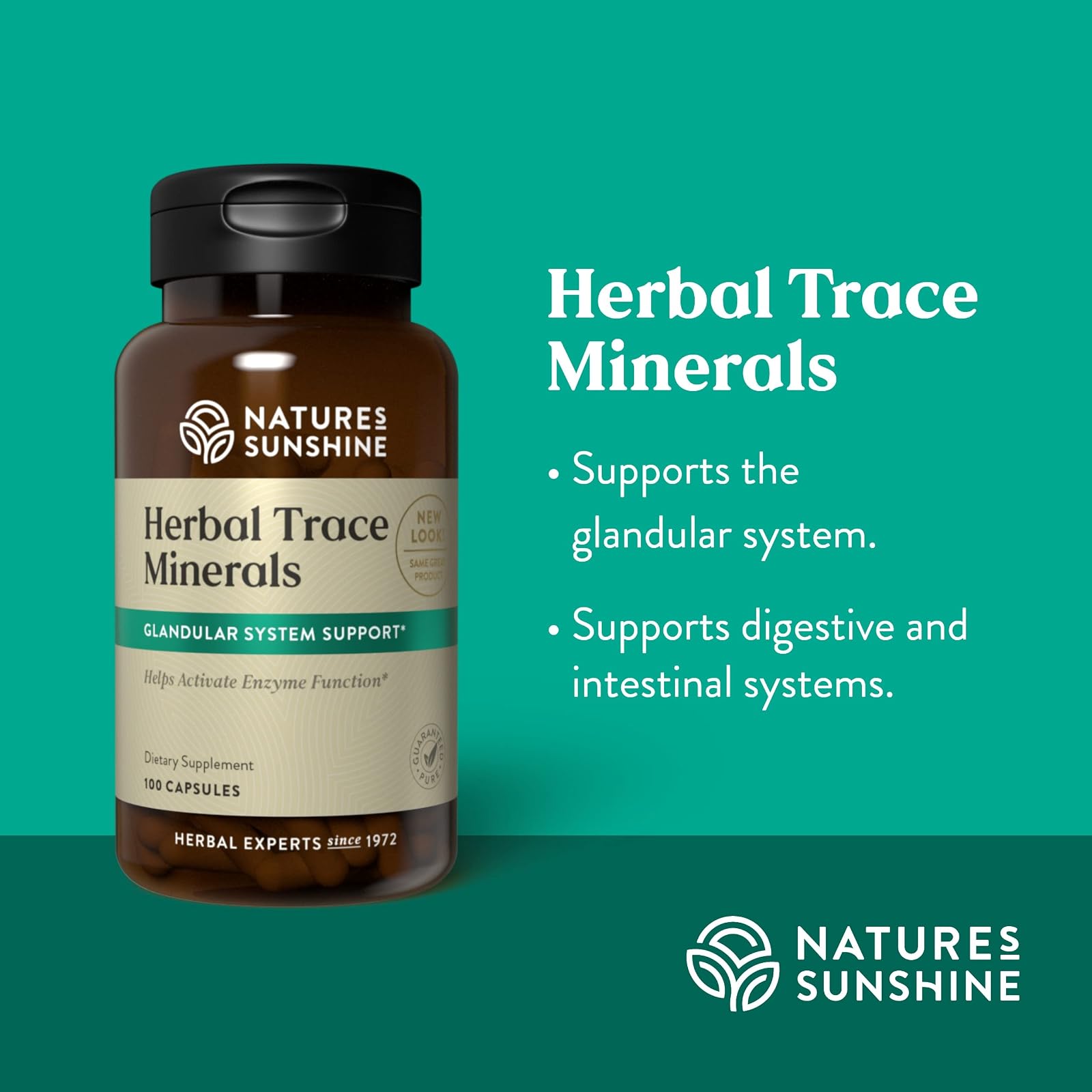 trace minerals for daily wellness