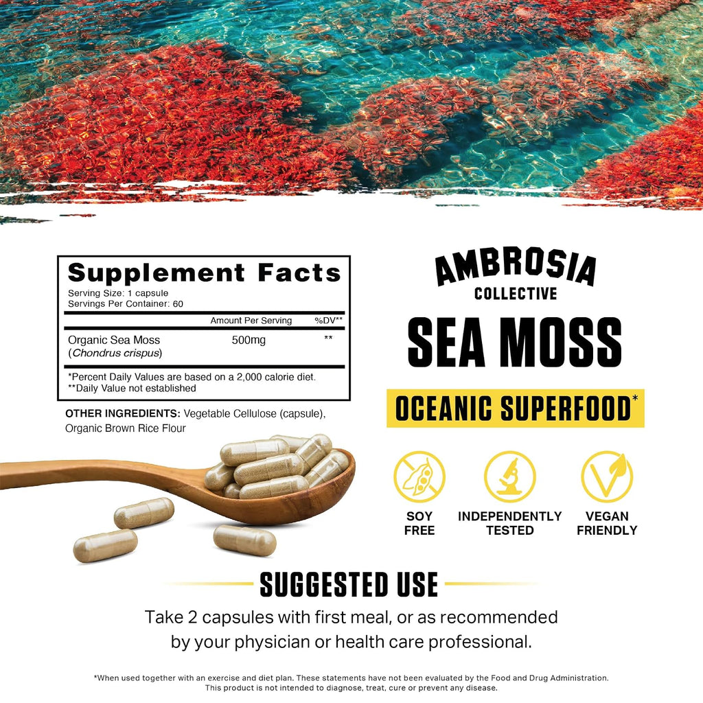 trace minerals for daily wellness