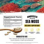 trace minerals for daily wellness