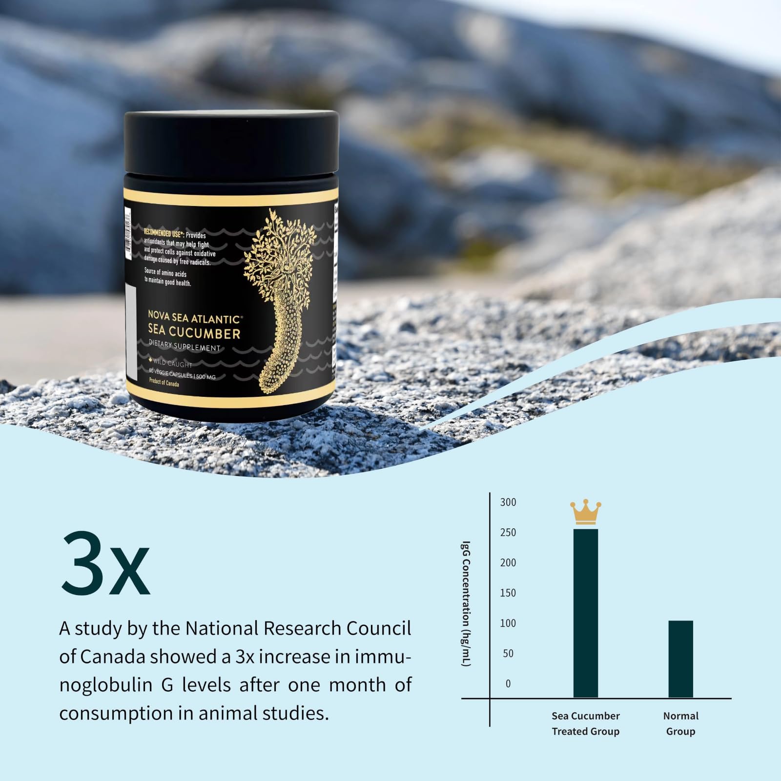 trace minerals for energy boost