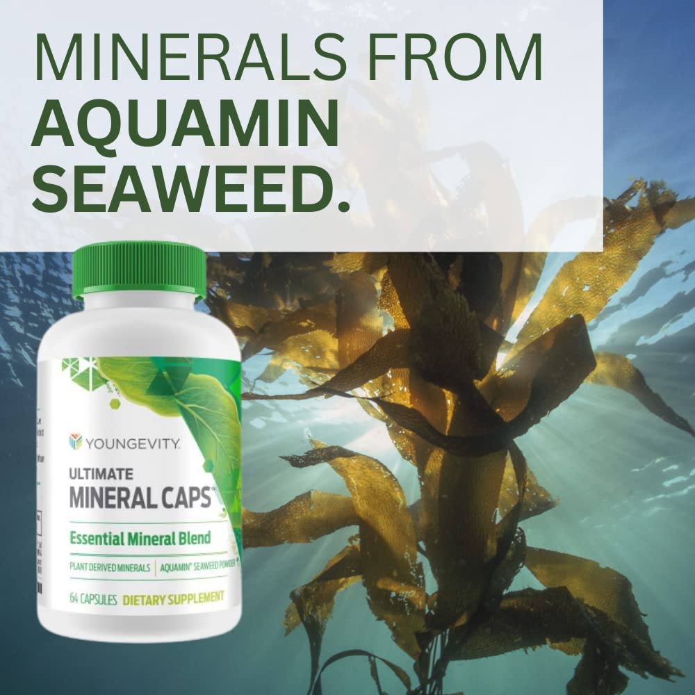 trace minerals for energy support