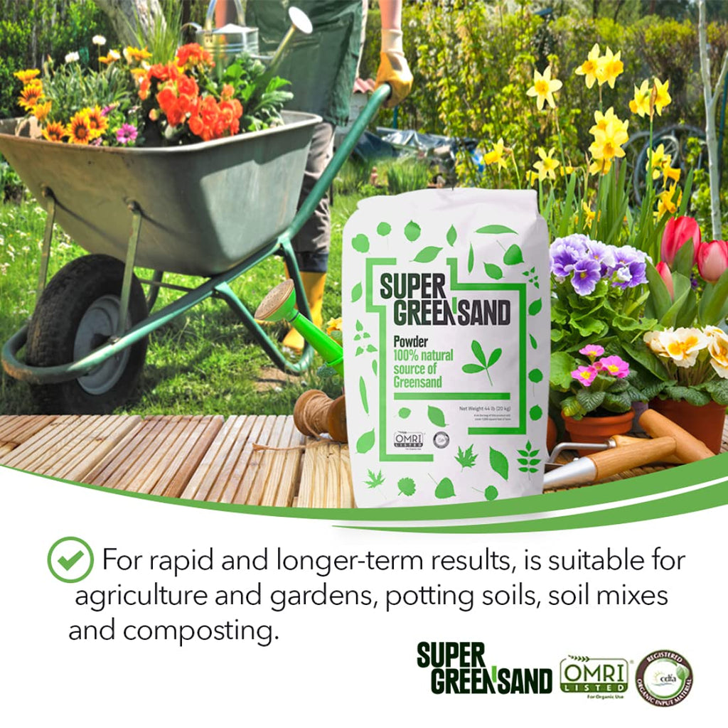trace minerals for enhanced energy levels