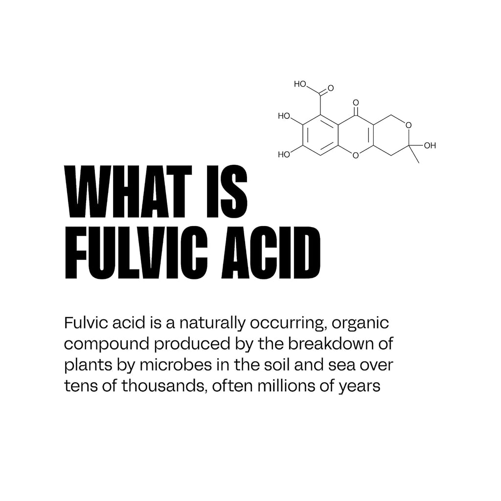 trace minerals for enhanced wellness