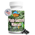 trace minerals for gut health