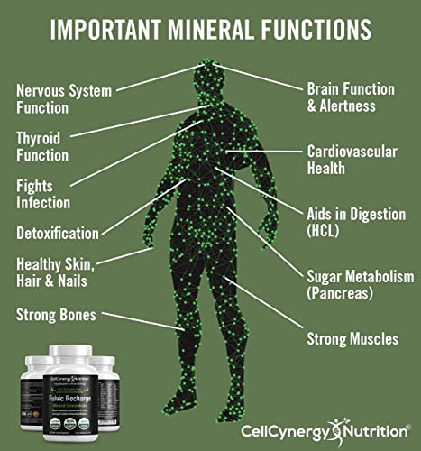 trace minerals for healthy metabolism