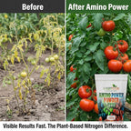 Trace Minerals for Healthy Plants