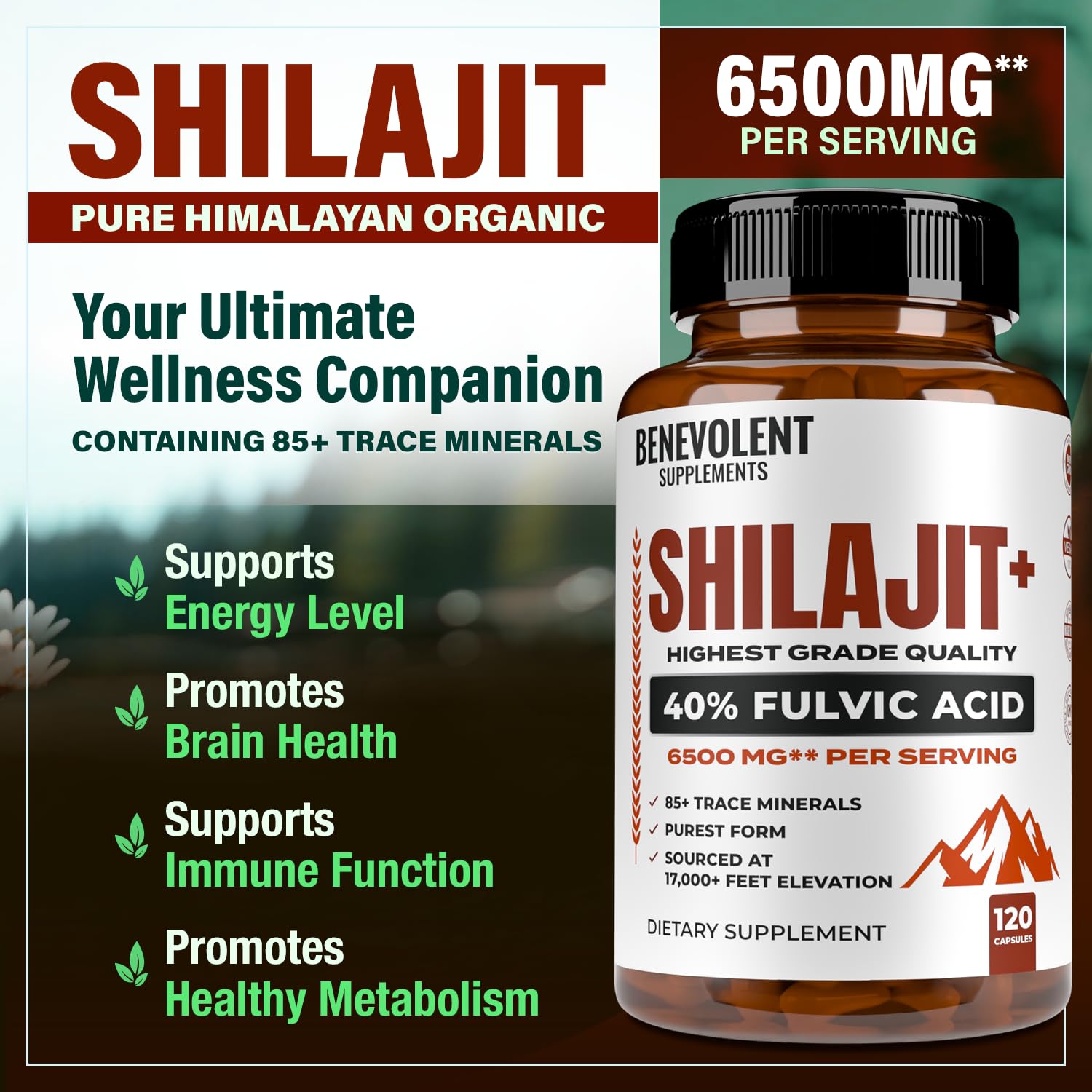 trace minerals for immune support